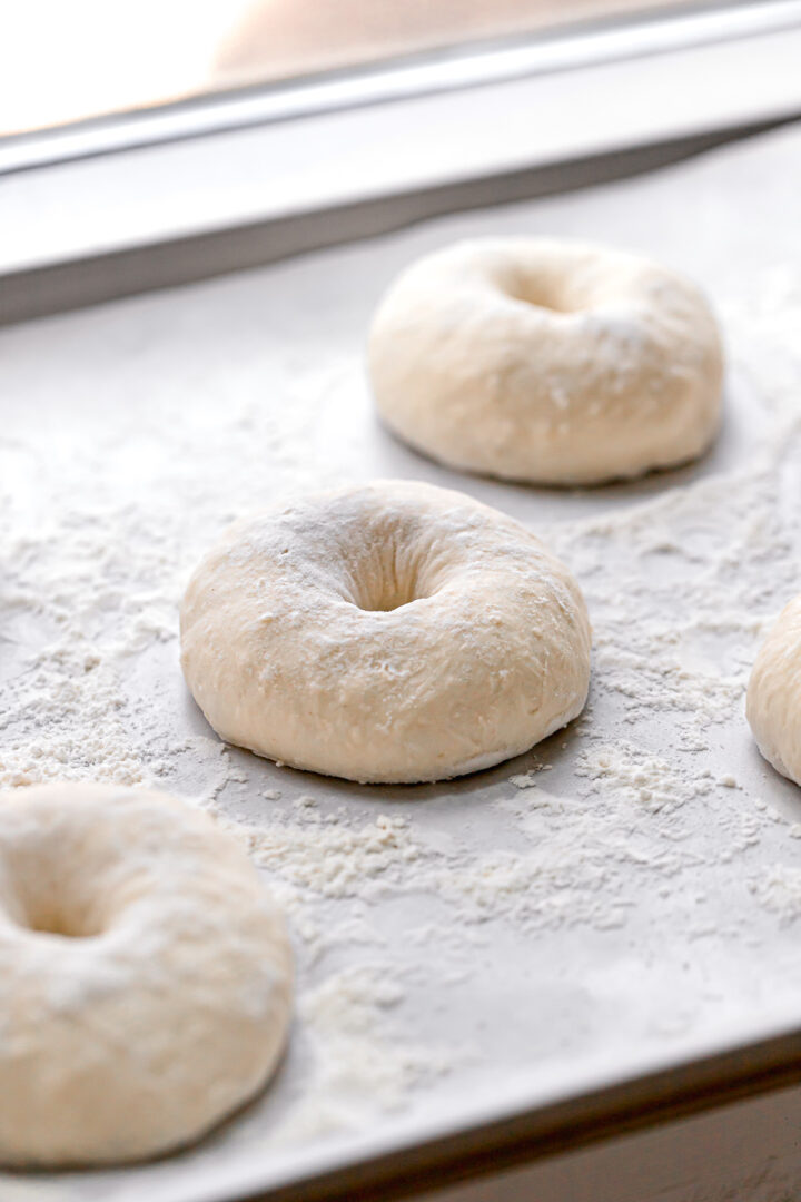 New York Style Bagels - Sloane's Table
